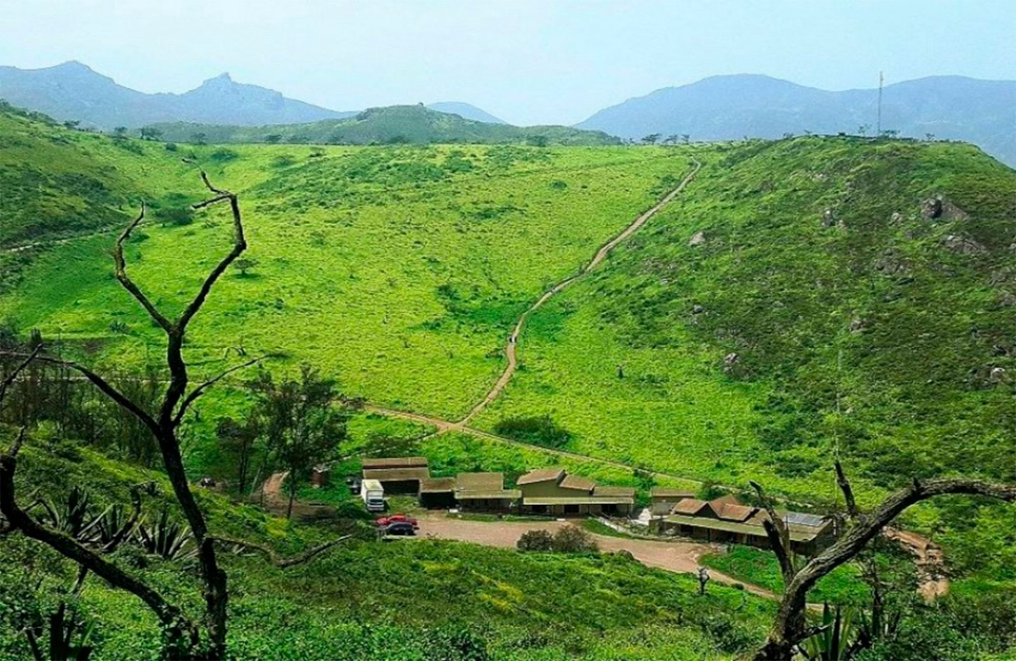Trekking en las Lomas de Lachay: Guía Completa de Rutas y Consejos ...
