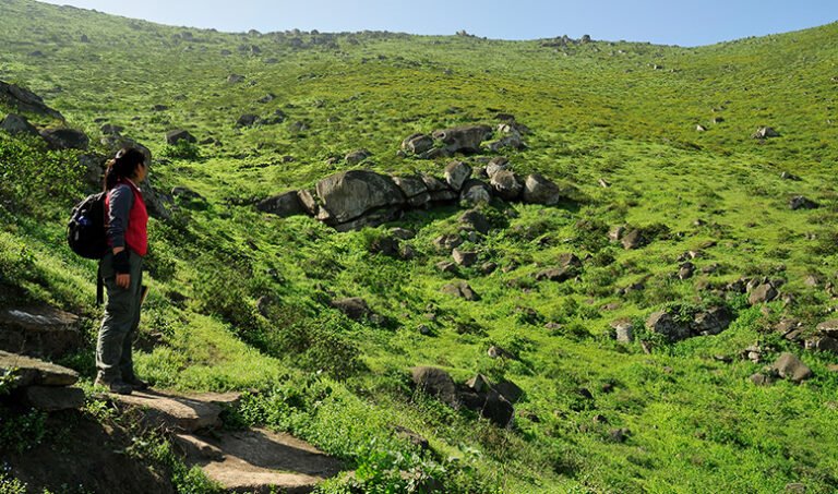 Guía Completa para Trekking y Senderismo en Lomas de Lúcumo, Pachacámac ...